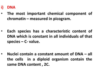 CHROMOSOMES SMG | PPTX | Biological Sciences | Science