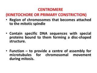 CHROMOSOMES SMG | PPTX | Biological Sciences | Science