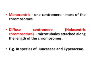 CHROMOSOMES SMG | PPTX | Biological Sciences | Science