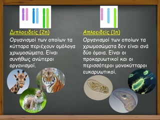Chromosomes | PPTX