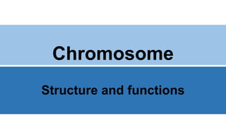 Chromosomes | PPT