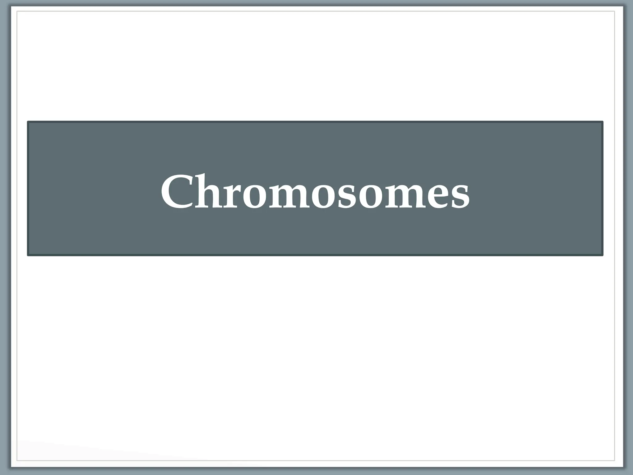 What are Chromosomes, ideogram, definition | PDF