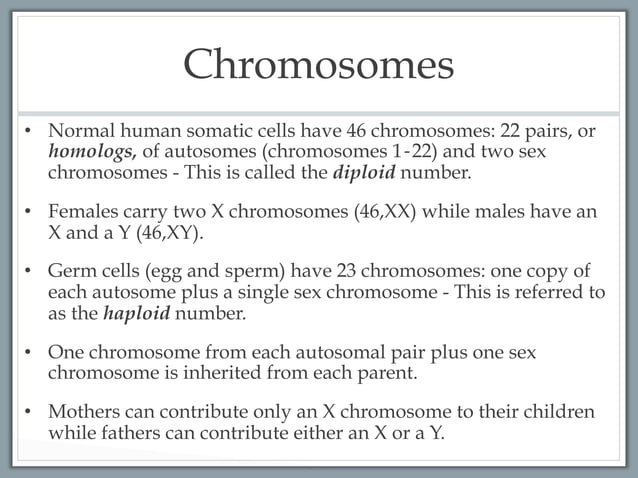 What are Chromosomes, ideogram, definition | PDF