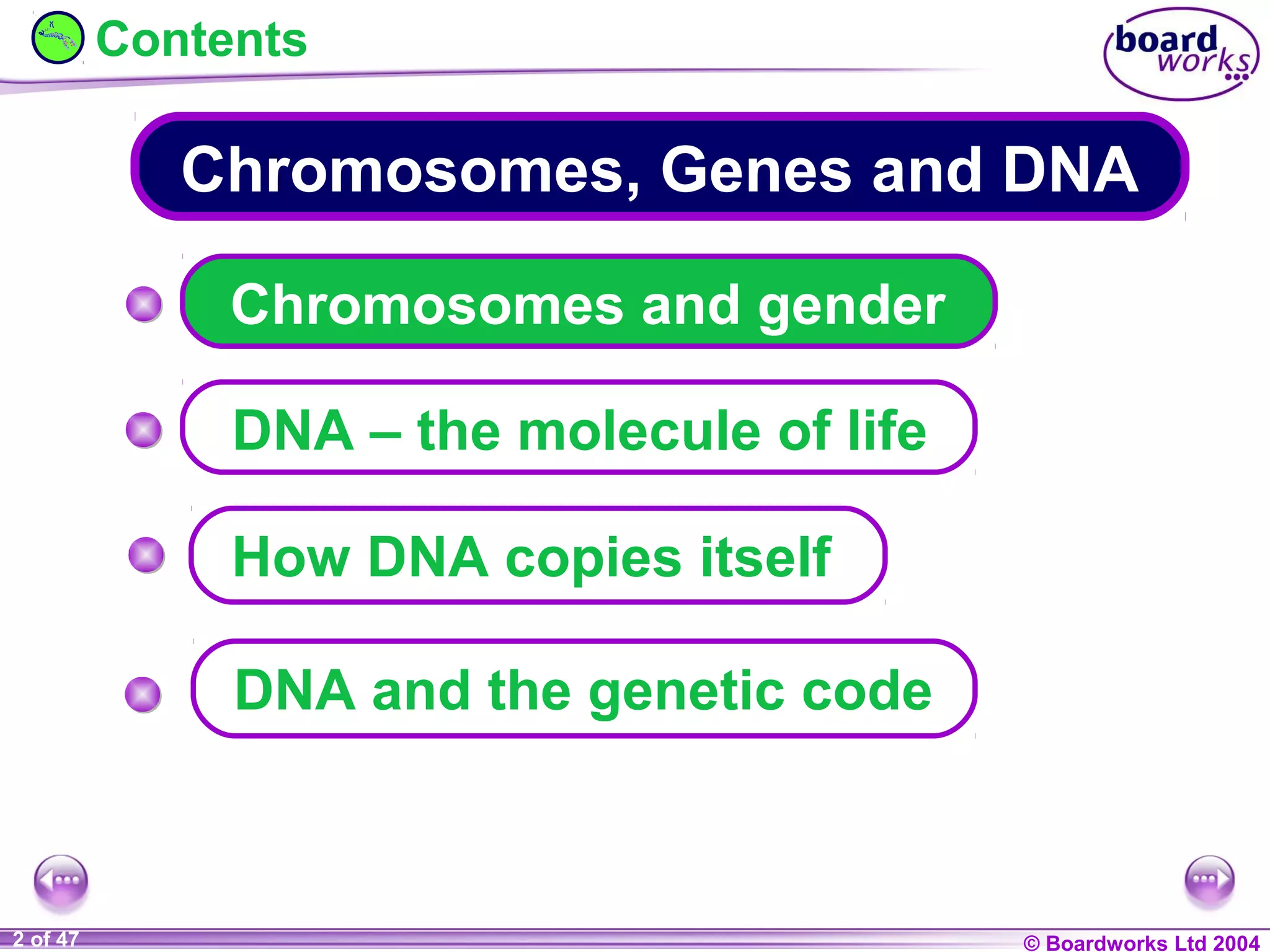 Chromosomes, Genes & DNA | PPT