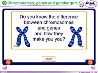 Chromosomes, Genes & DNA | PPT