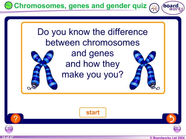 Chromosomes, Genes & DNA | PPT