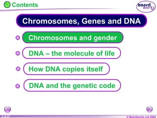 Chromosomes, Genes & DNA | PPT