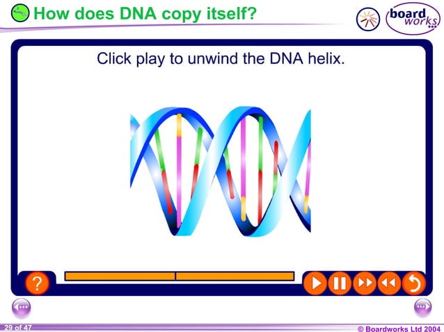 Chromosomes Genes And Dna Ppt