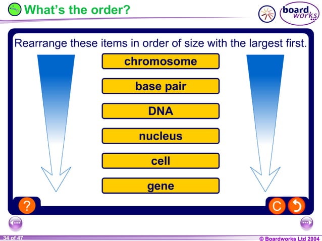Chromosomes, Genes & DNA | PPT