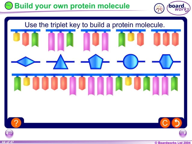 Chromosomes, Genes & DNA | PPT