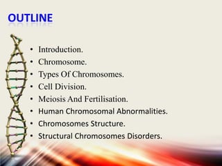 Chromosomes | PPTX
