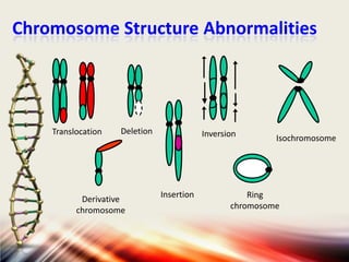 Chromosomes | PPTX