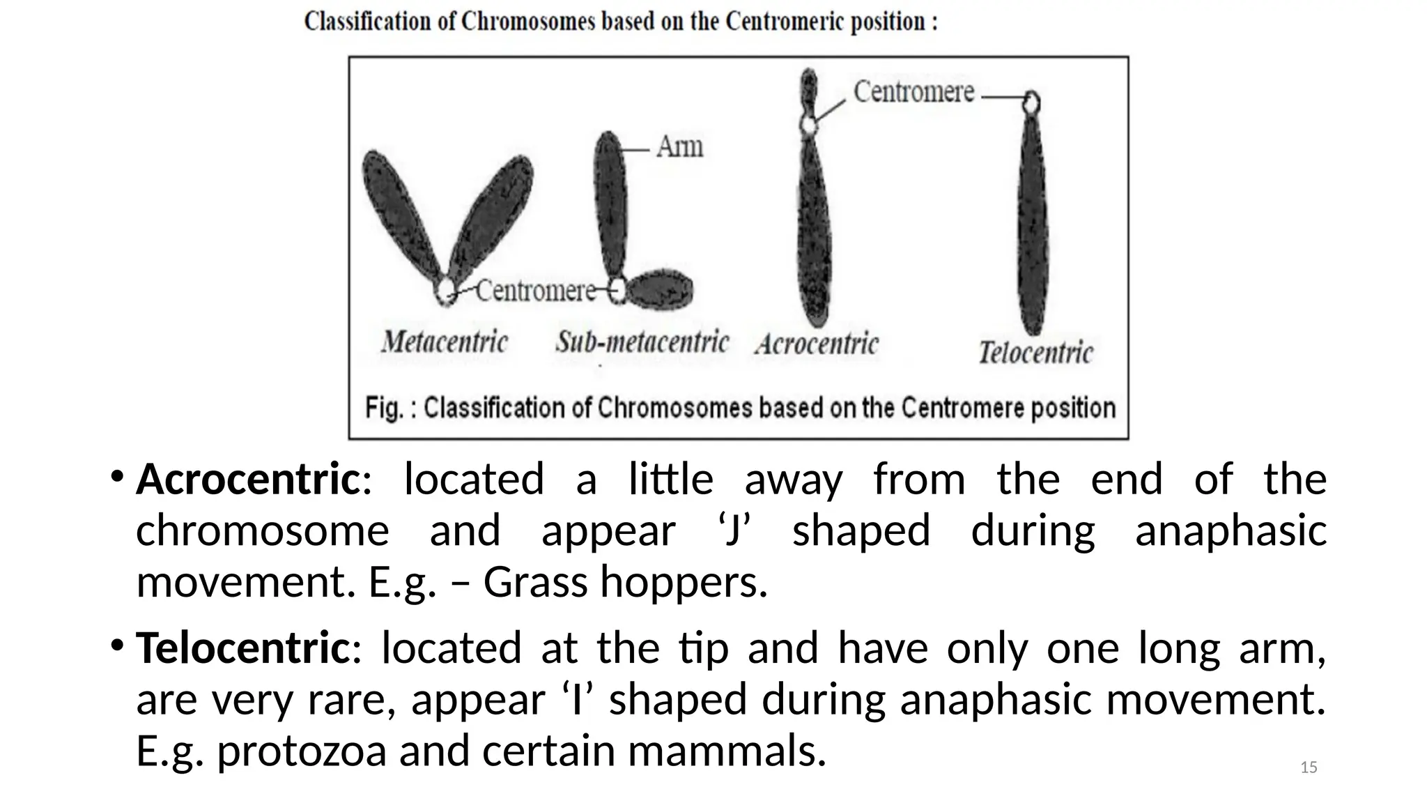 Chromosomes and chromosomal aberrations [Autosaved].pptx
