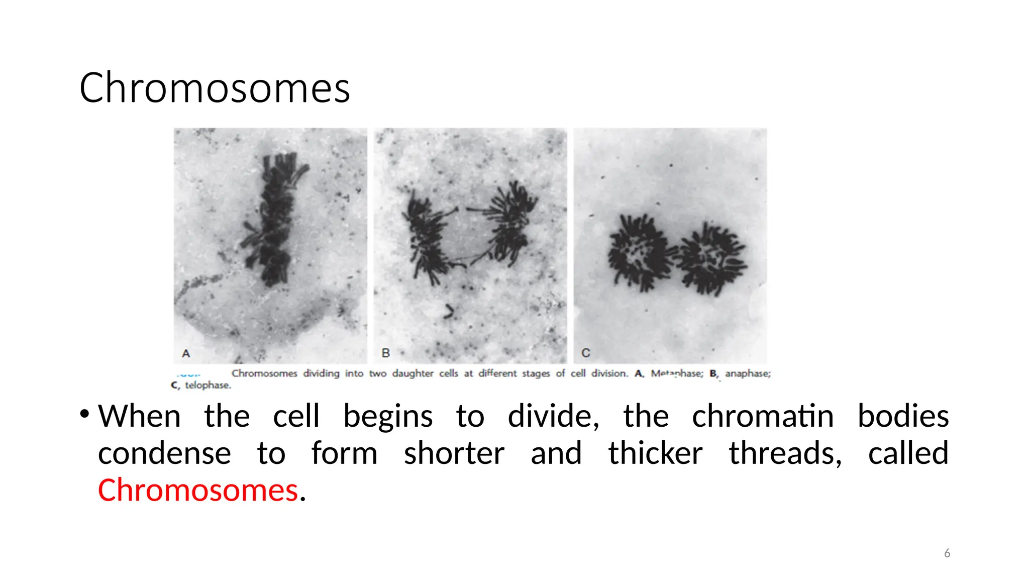 Chromosomes and chromosomal aberrations [Autosaved].pptx