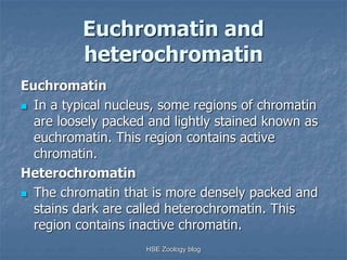 Chromosomes and dna packaging | PPSX