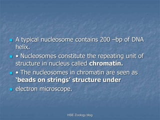 Chromosomes and dna packaging | PPSX