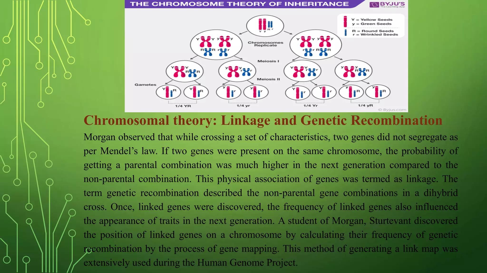 Chromosomes and genes(DNA & RNA) | PPTX | Biological Sciences | Science