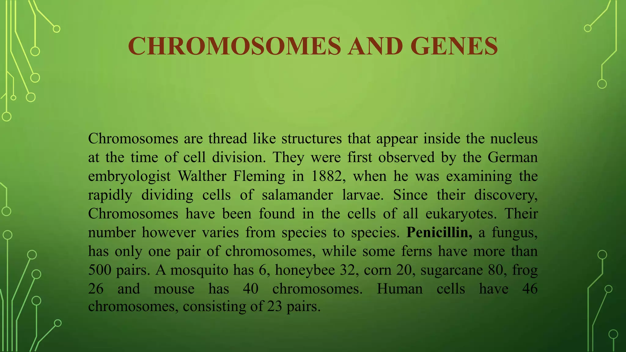 Chromosomes and genes(DNA & RNA) | PPTX | Biological Sciences | Science