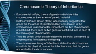 Chromosomes and Heredity | PPTX | Genetics | Science