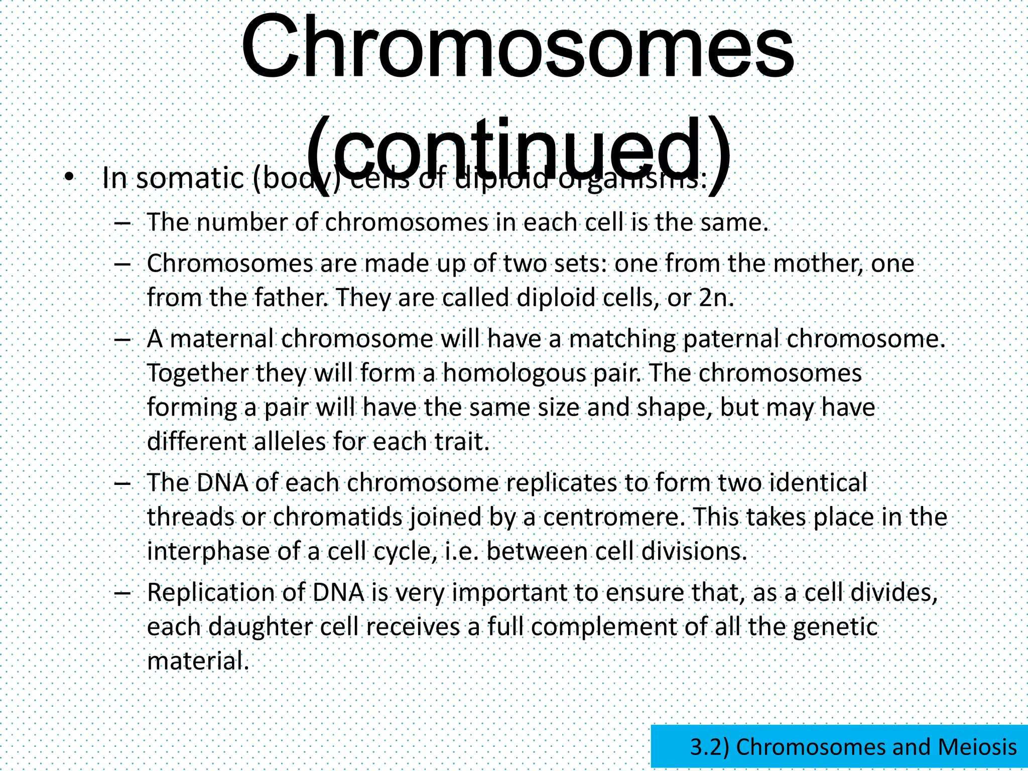 Chromosomes and meiosis | PPT | Biological Sciences | Science