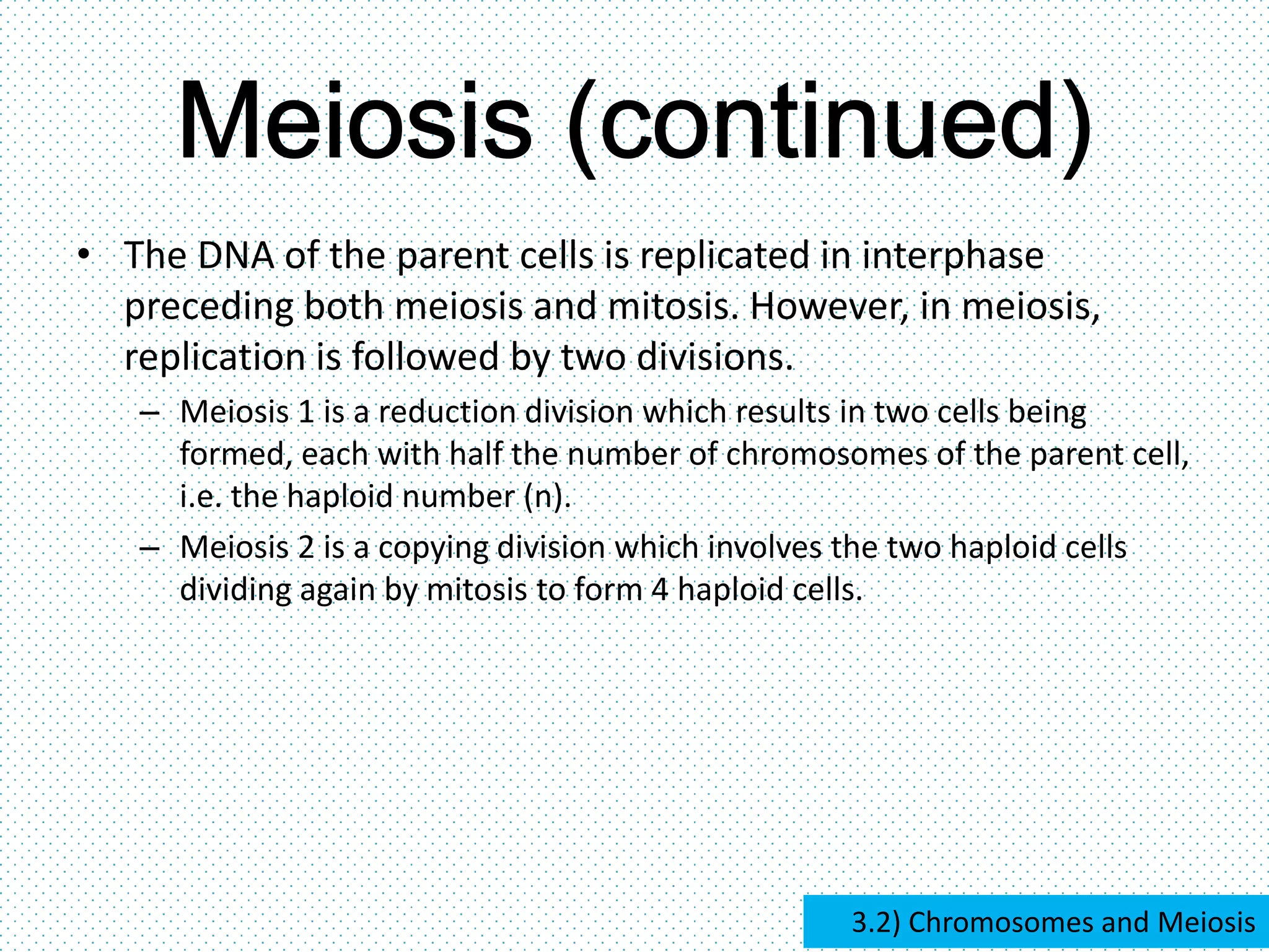 Chromosomes and meiosis | PPT
