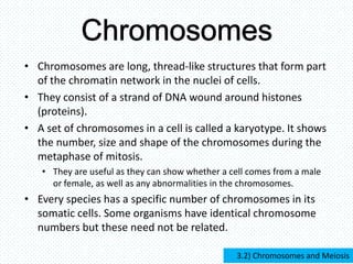 Chromosomes and meiosis | PPT