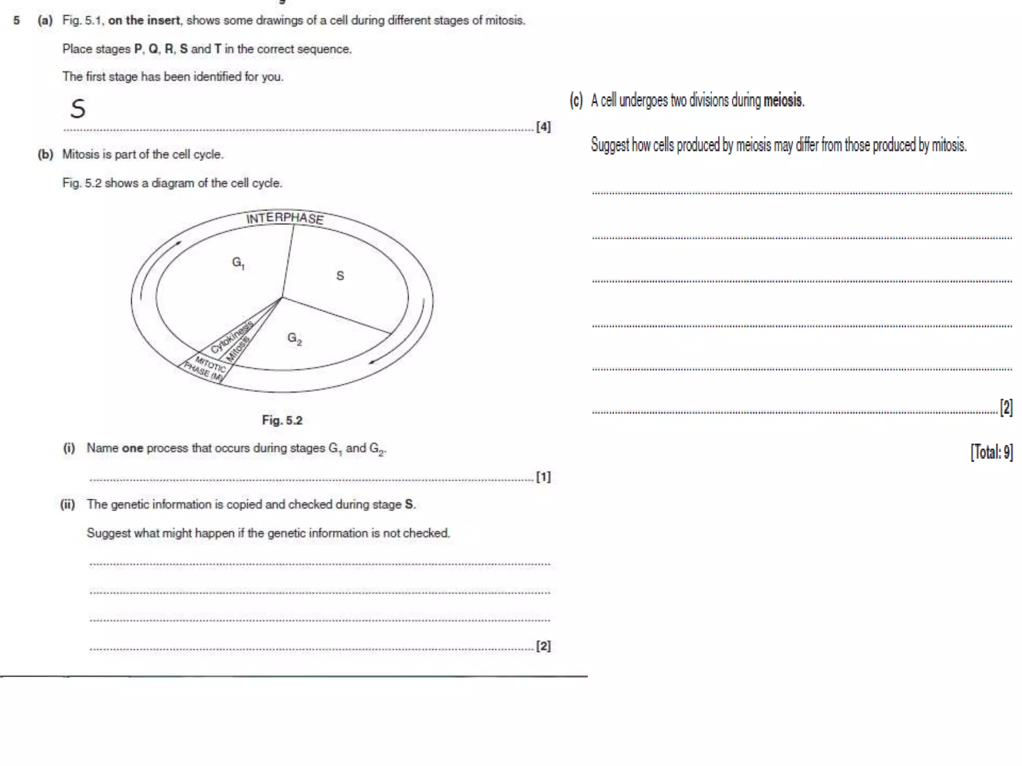 Chromosomes and the cell cycle 2 | PPT
