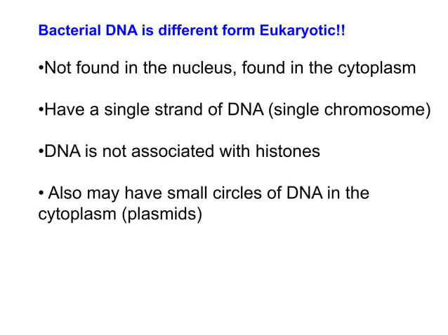 Chromosomes and the cell cycle 2 | PPT