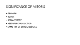 Chromosomes cell cycle cell division | PPT