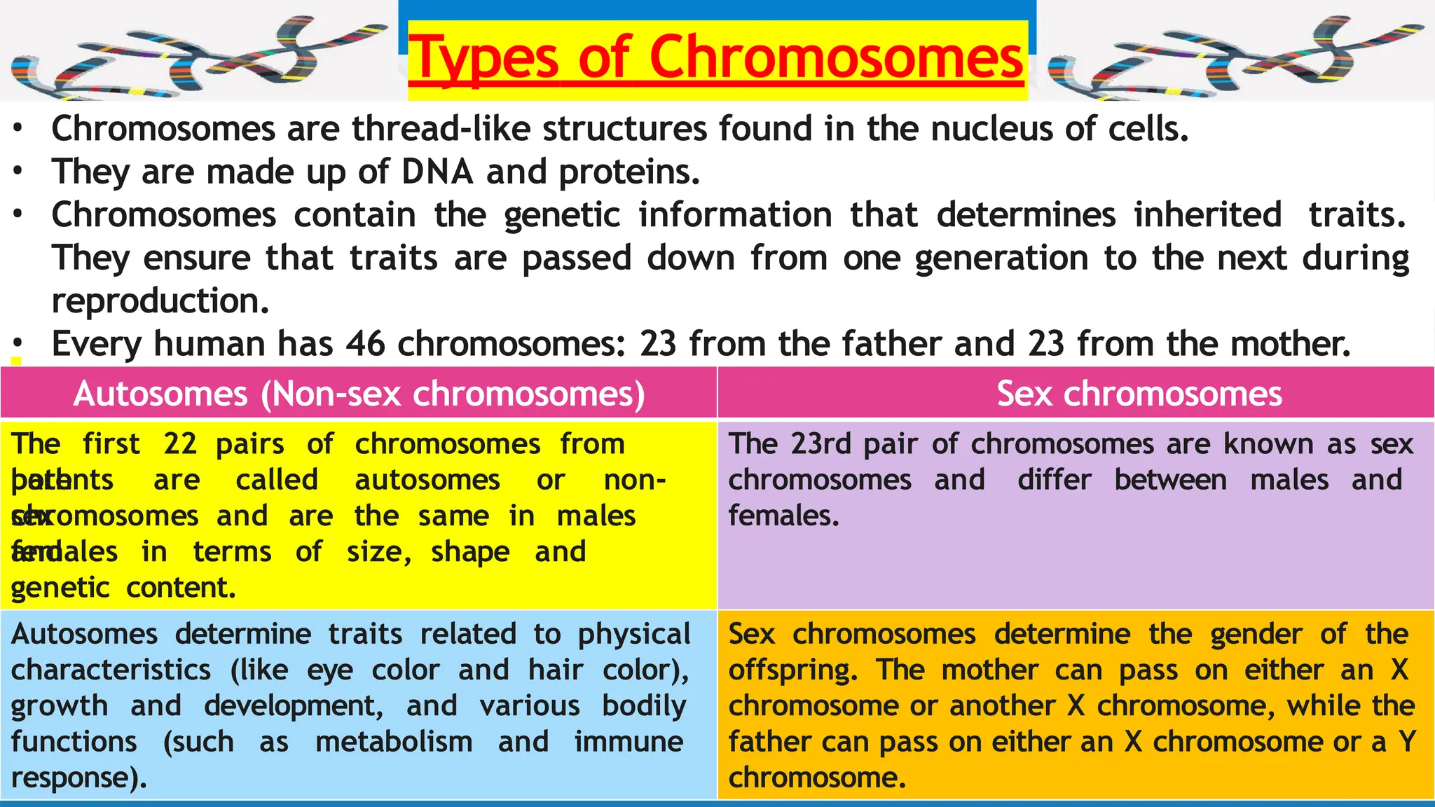 Chromosomes, DNA and Genes.pptx double helux | PPTX