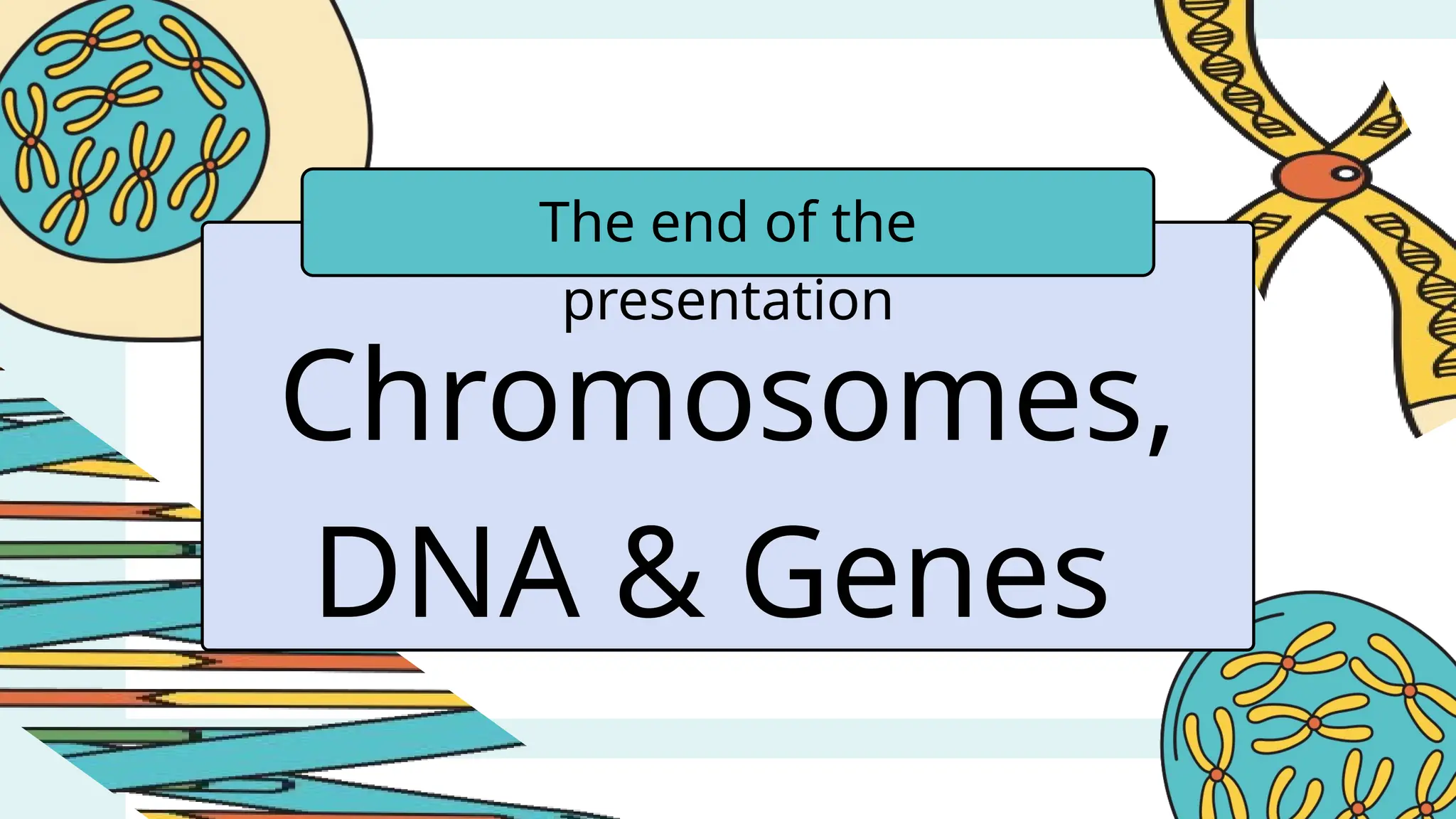 Chromosomes, DNA and Genes Biology Presentation in a Bold Colorful ...