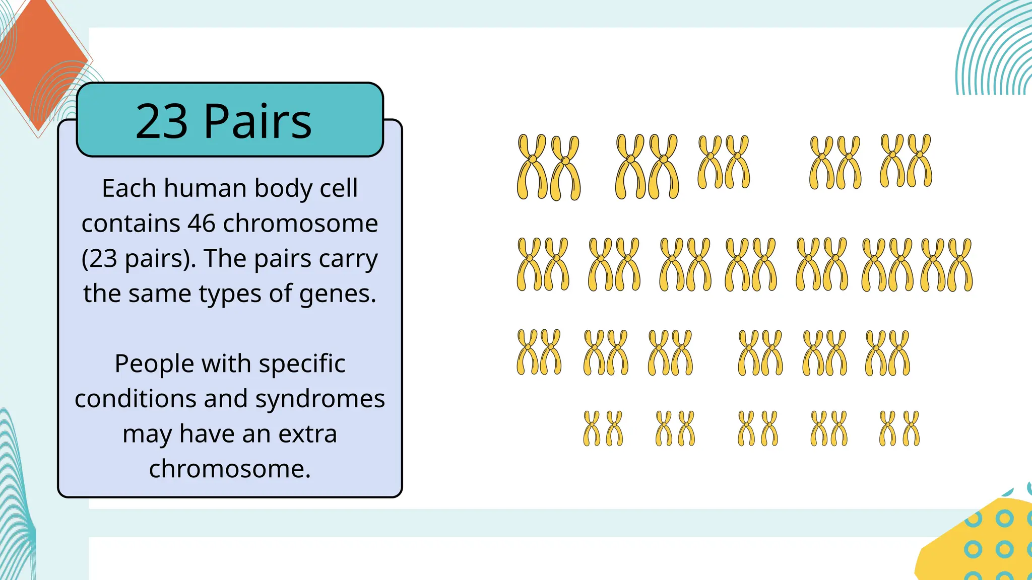 Chromosomes, DNA and Genes Biology Presentation in a Bold Colorful ...
