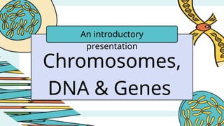 Chromosomes, DNA and Genes Biology Presentation in a Bold Colorful ...