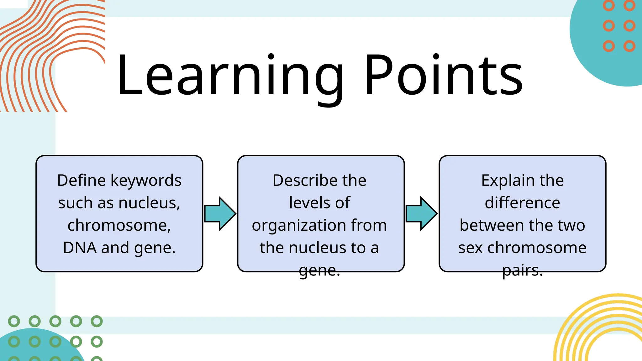 Chromosomes, DNA and Genes Biology Presentation in a Bold Colorful ...