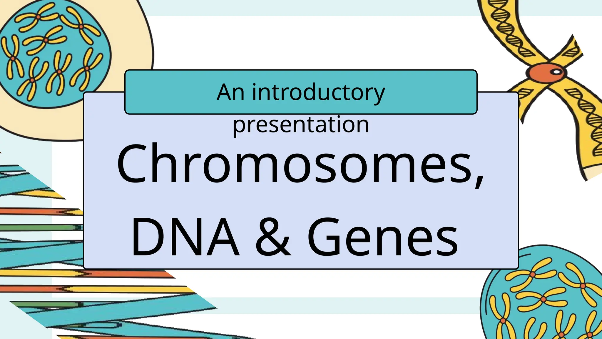 Chromosomes, DNA and Genes Biology Presentation in a Bold Colorful ...