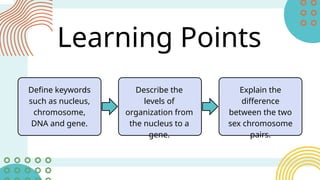 Chromosomes, DNA and Genes Biology Presentation in a Bold Colorful ...