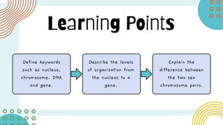 Chromosomes, DNA and Genes Biology Presentation in a Bold Colorful ...