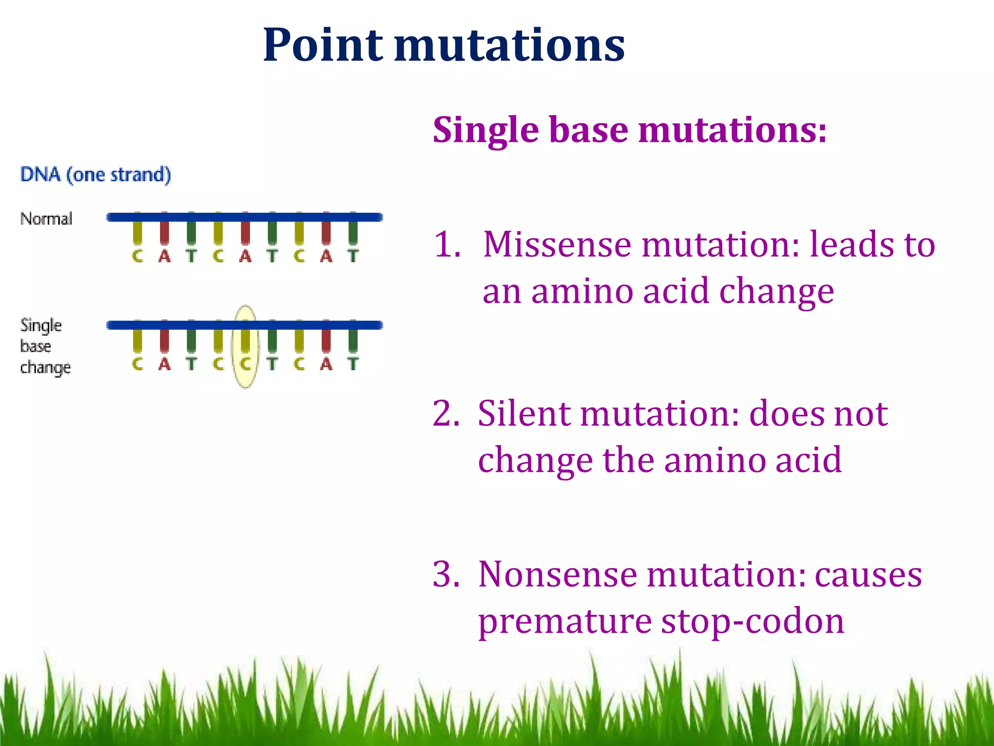 DNA, CHROMOSOMES & GENES | PPTX
