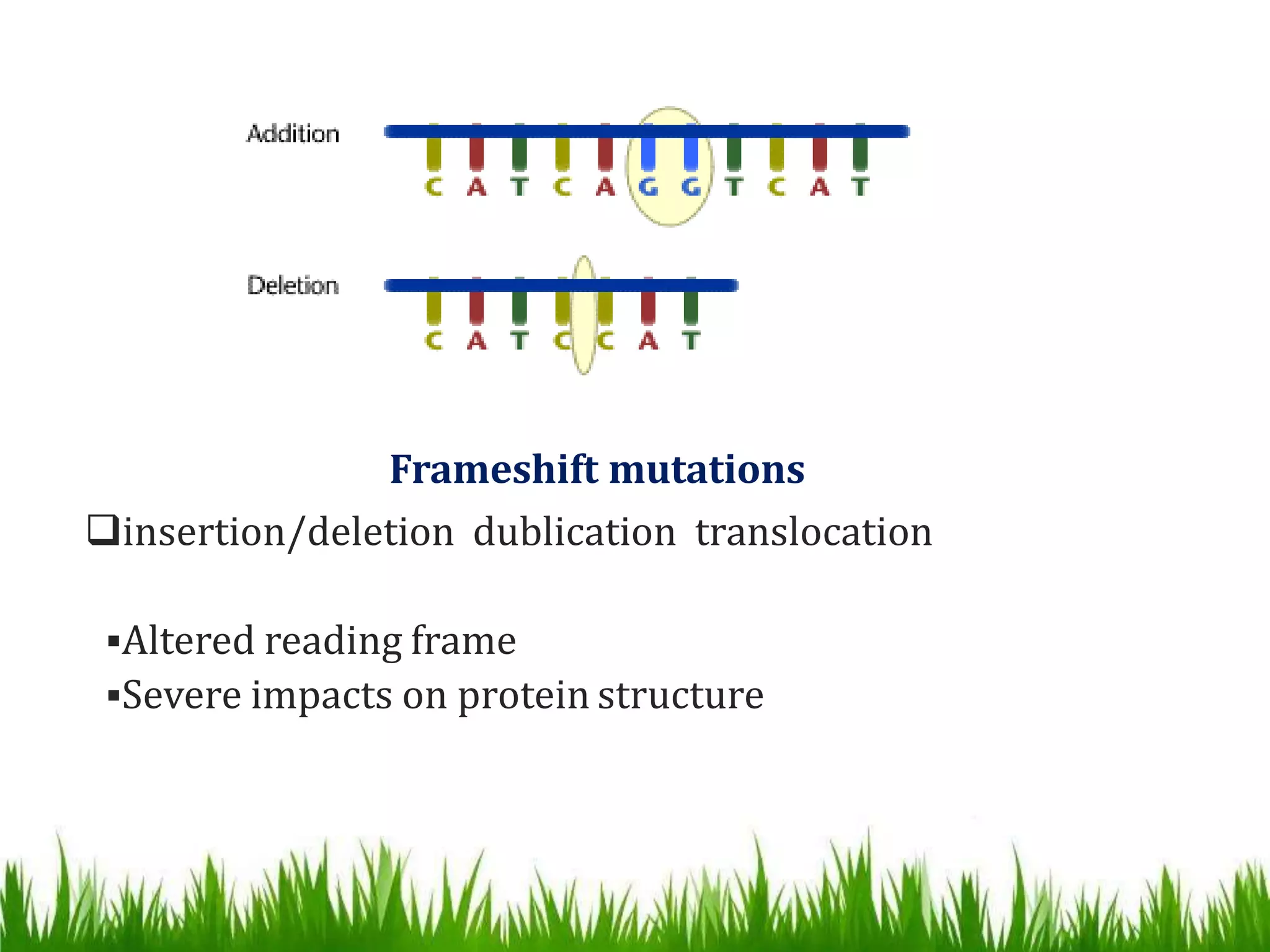 DNA, CHROMOSOMES & GENES | PPTX