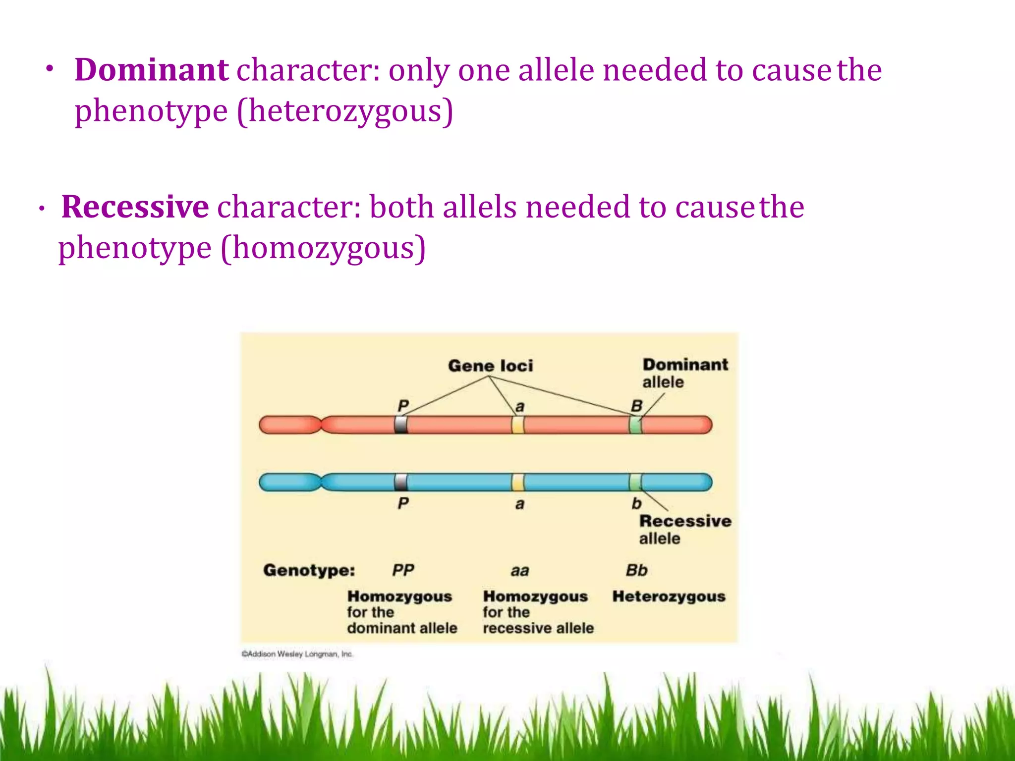 DNA, CHROMOSOMES & GENES | PPTX
