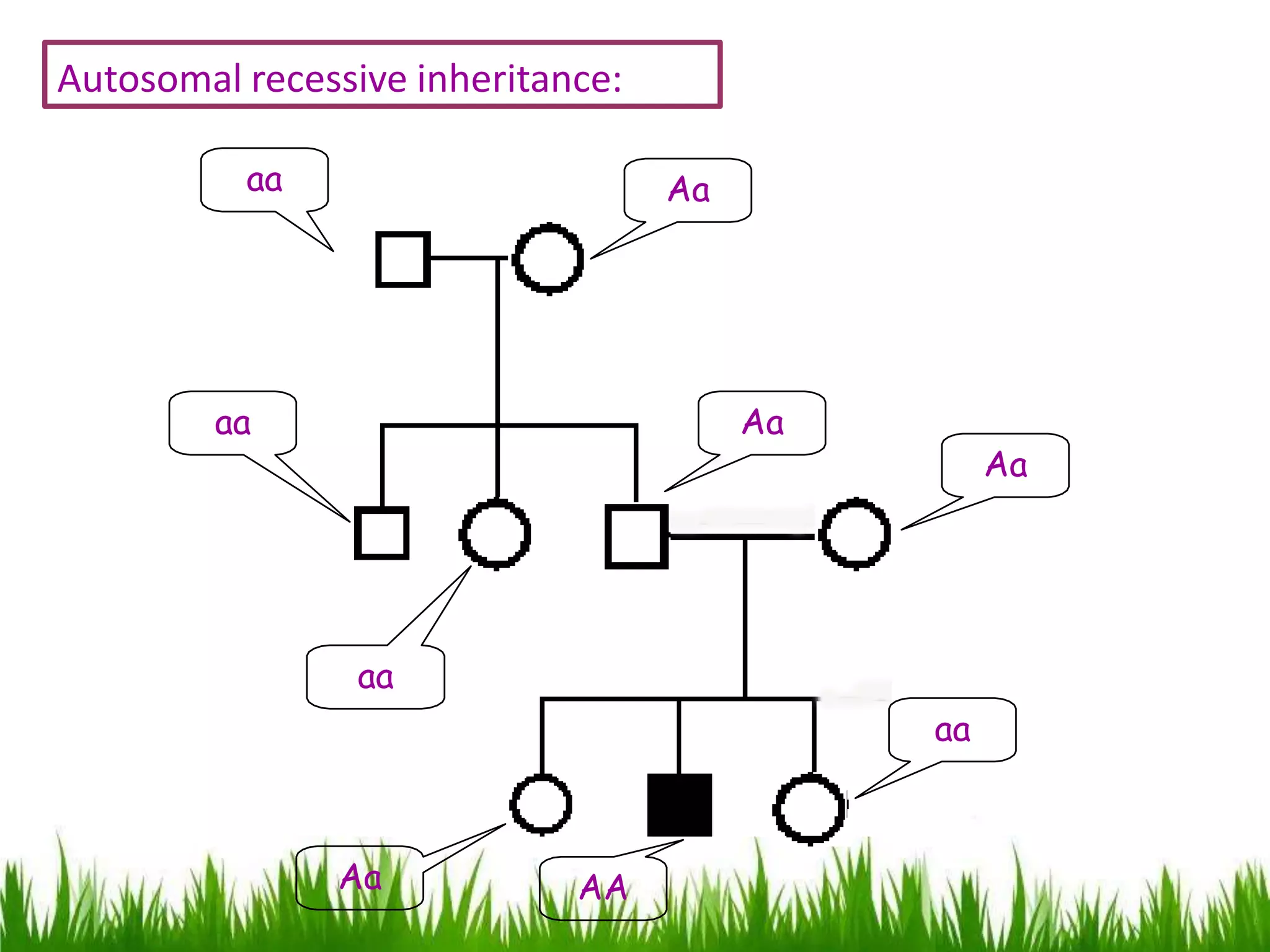 DNA, CHROMOSOMES & GENES | PPTX