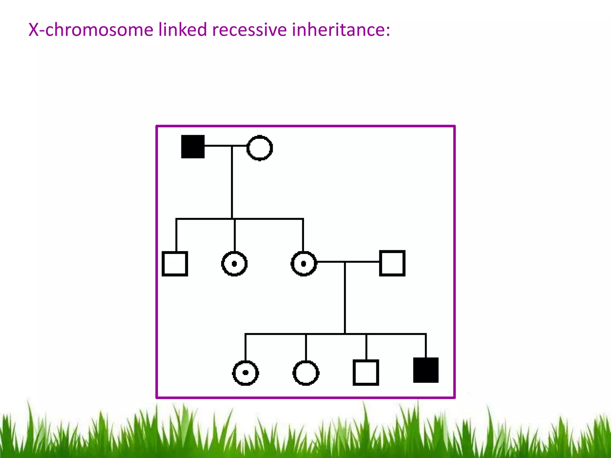 DNA, CHROMOSOMES & GENES | PPTX