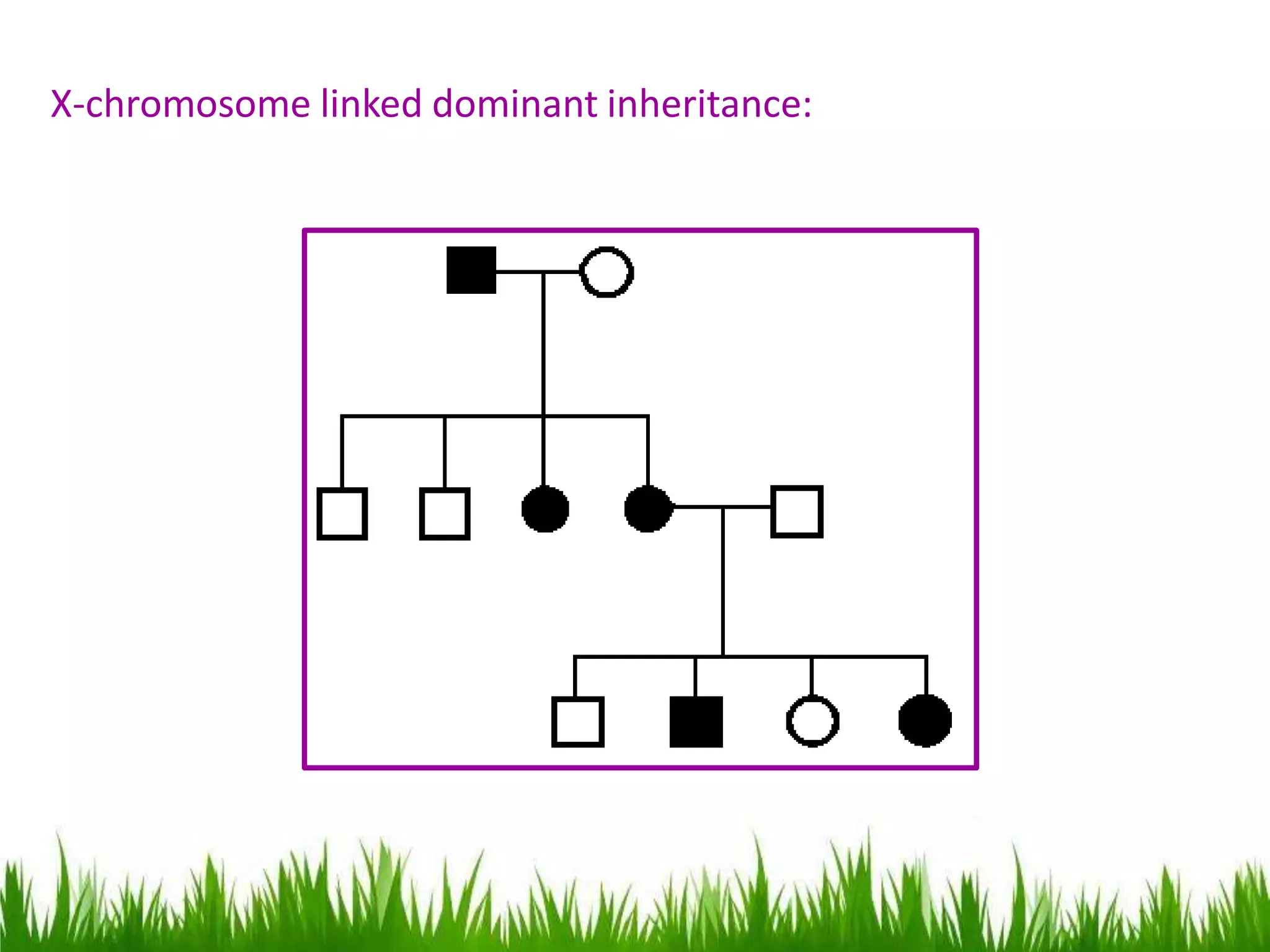 DNA, CHROMOSOMES & GENES | PPTX