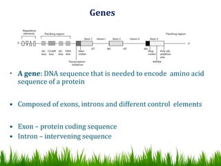 DNA, CHROMOSOMES & GENES | PPTX