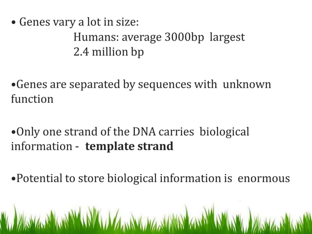DNA, CHROMOSOMES & GENES | PPTX | Biological Sciences | Science