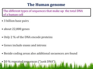 DNA, CHROMOSOMES & GENES | PPTX