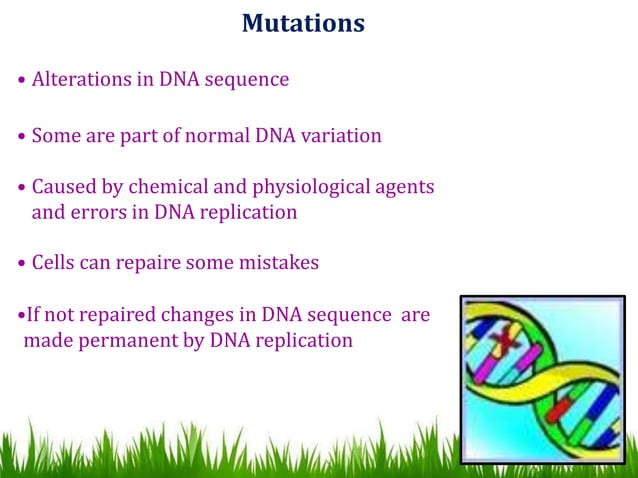 DNA, CHROMOSOMES & GENES | PPTX | Biological Sciences | Science