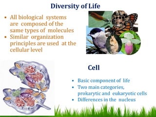 DNA, CHROMOSOMES & GENES | PPTX