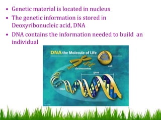 DNA, CHROMOSOMES & GENES | PPTX