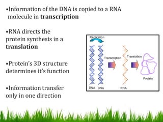 DNA, CHROMOSOMES & GENES | PPTX